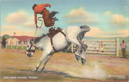 Cowboy John Smith Leaving Snakes Doubleday Western Rodeo 1939 Postcard ...