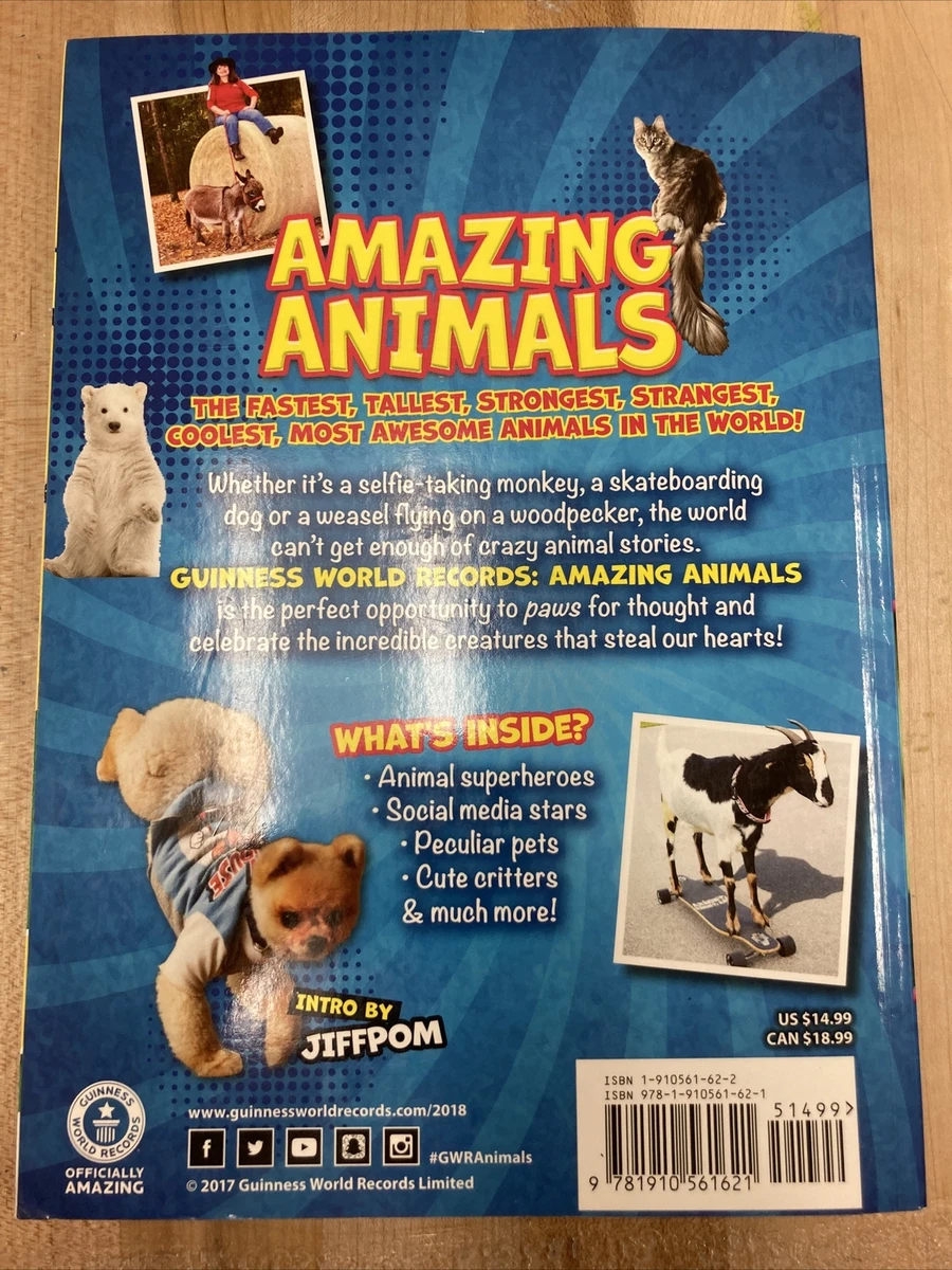 Unbelievable Animals Friendship