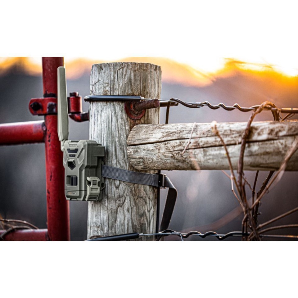 Spypoint FLEX-M US Solar Bundle FLEX-M Trail Camera and SPLB 10 Solar ...