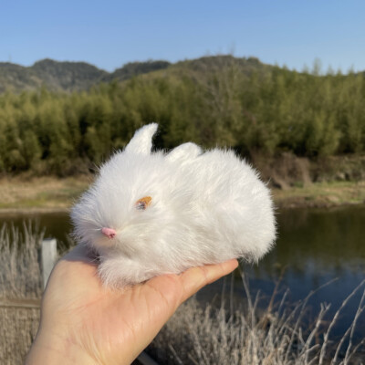 White Realistic Rabbit Taxidermy Figurine in Fur for Easter Wedding ...
