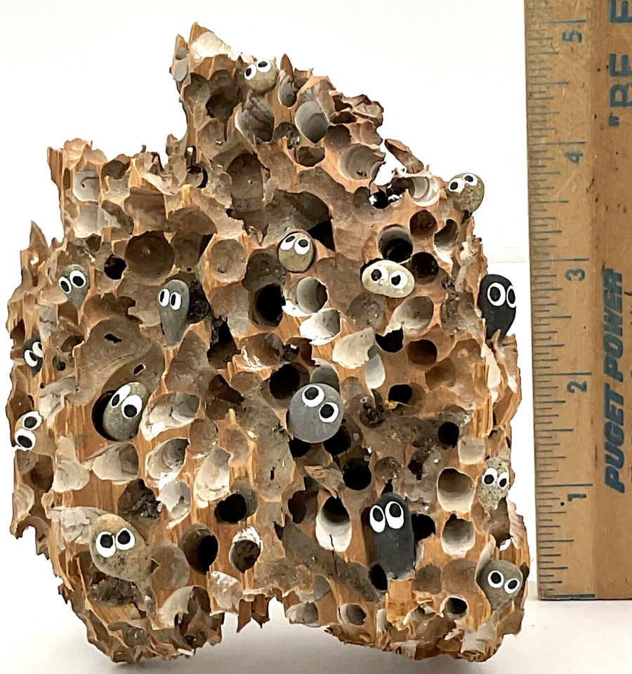 Vintage 1973 Folk Art Painted Rocks Holey Wood Big Eyes Beer Can Hanger ...