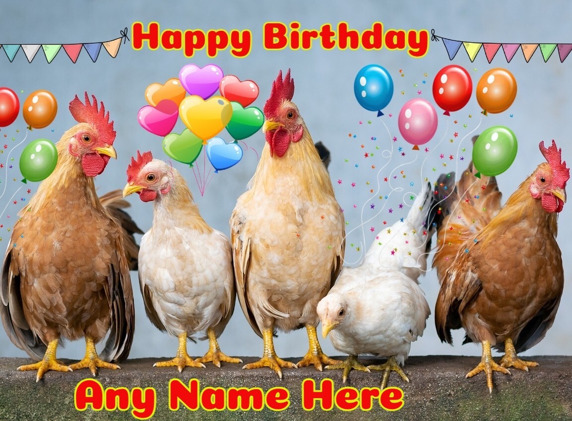 Happy Birthday From The Chickens Funny BIRTHDAY Card, Guess What