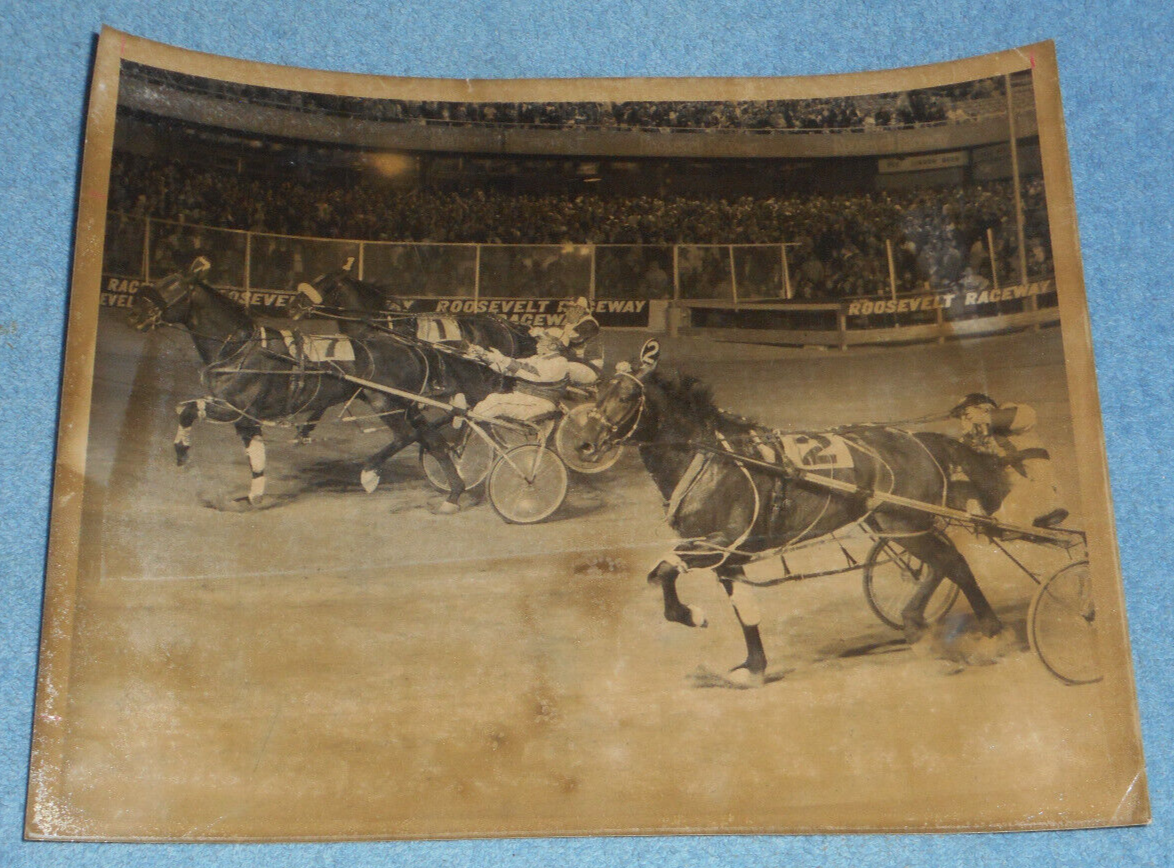 1972 Harness Racing Press Photo Horse "Tarport Adios" Roosevelt Raceway ...
