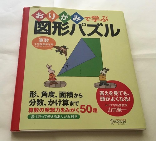 Learn Shape Puzzles With Origami Japanese | eBay