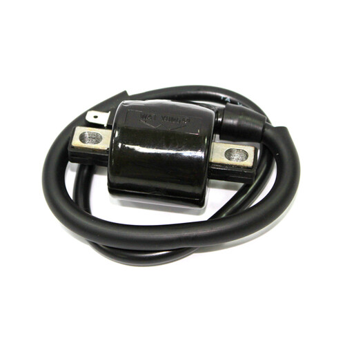 Bronco Ignition Coil 56.AT-01312 | eBay Australia
