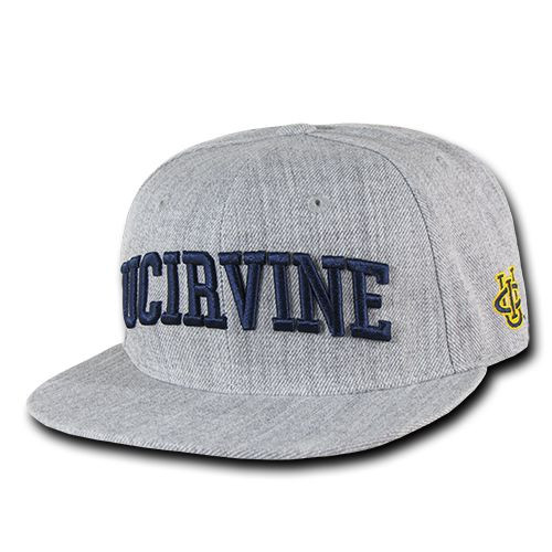 University California UCI Irvine Anteater NCAA Fitted Flat Bill ...