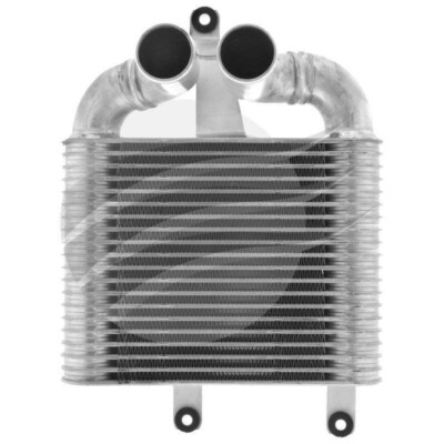 NEW Intercooler fits Holden Rodeo RA 3/2003-07/2008 TD Isuzu | eBay ...