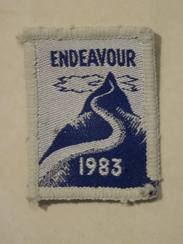 Endeavour 1983 Scout Badge | eBay UK