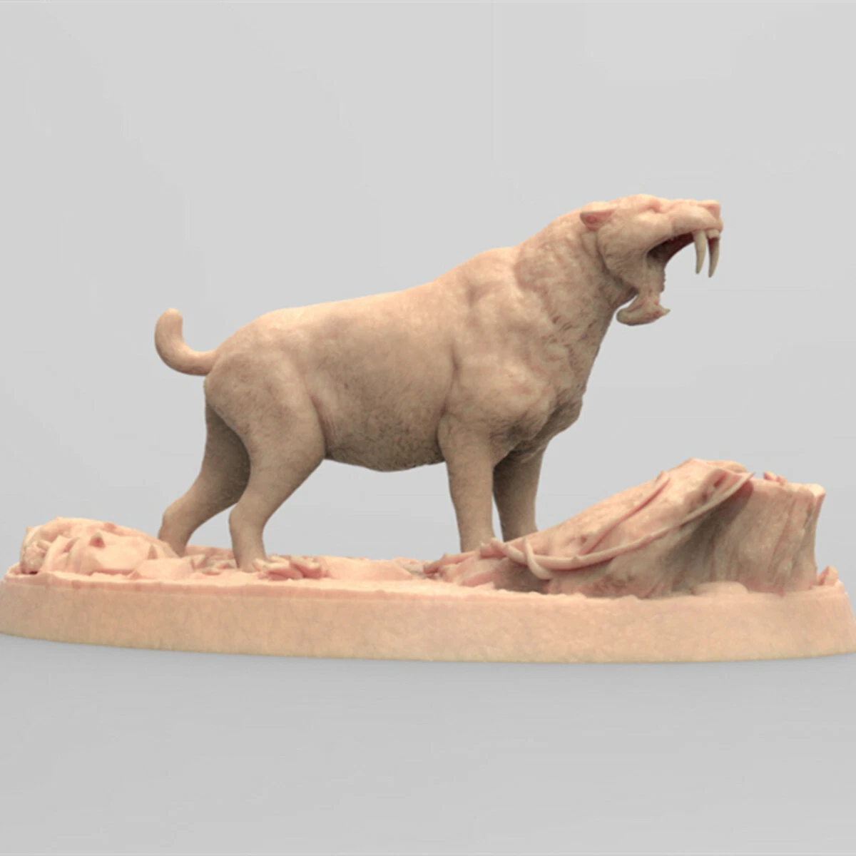 Barbourofelis