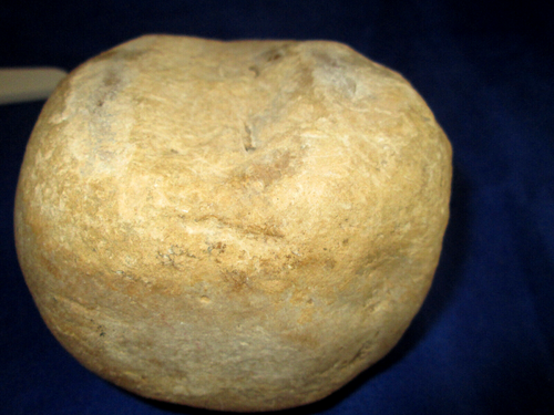 LAKE WACO 1980 Texas Fossil Echinoid Holaster Simplex Cretaceous Age 2 ...