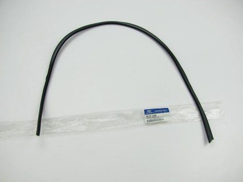 NEW GENUINE Windshield Reveal Moulding Seal OEM For 2009-2012 Elantra ...