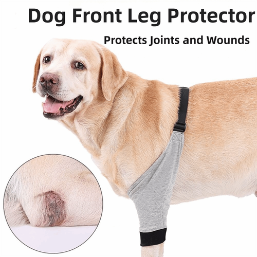 Knee Pads Front Leg Cover Shoulder Support Recovery Sleeve Post-Surgery ...
