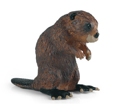 6.5cm Mini Beaver Rodent PVC Toy Wild Animal Figure Doll Kids Gift | eBay