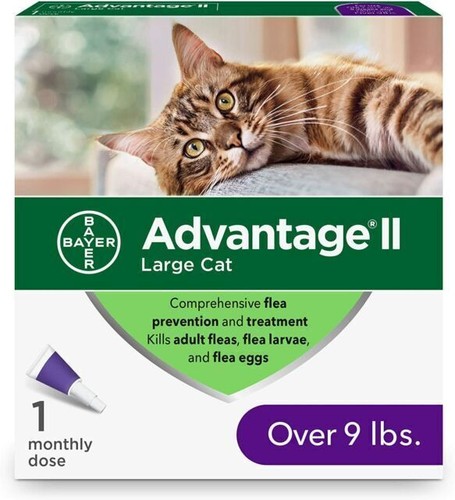 Elanco Advantage II Flea Prevention Large Cats 9lbs+ Spot-On Treatment ...