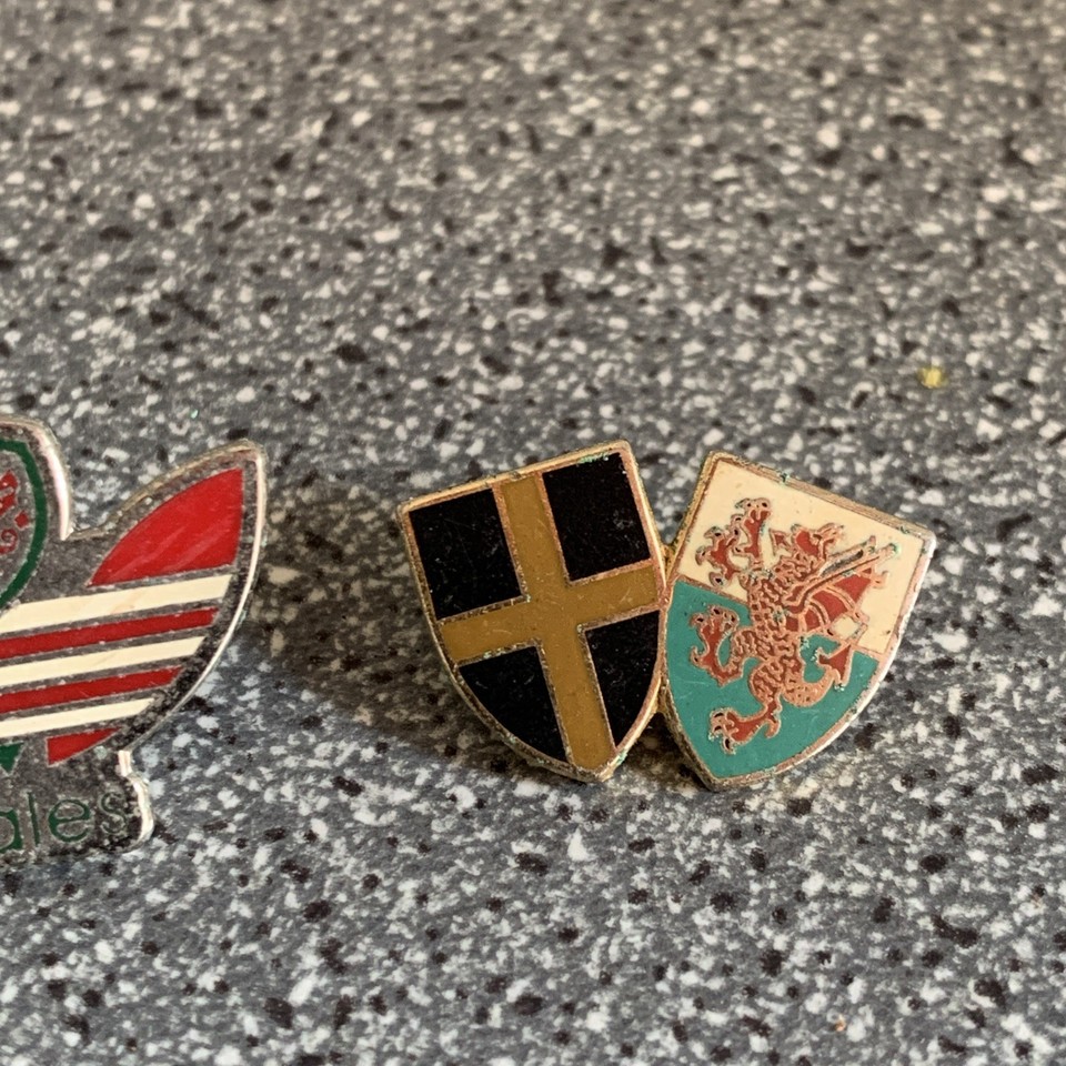 Wales Pin Badges Pair Of | eBay UK