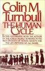 HUMAN CYCLE By Colin M. Turnbull - Hardcover **Mint Condition ...