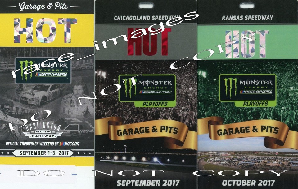 2017 SIGNED!! RICHARD CHILDRESS #3 DOW NASCAR MONSTER ENERGY CUP SERIES ...