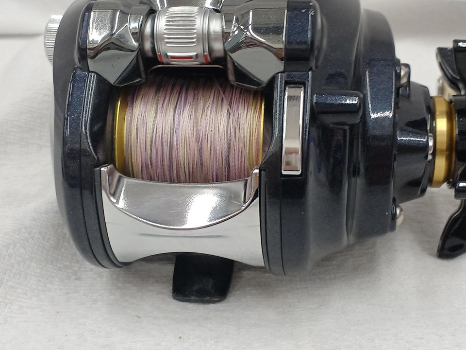 DAIWA LEOBRITZ 300J Electric Reel, LEOBRITZ 300J | eBay