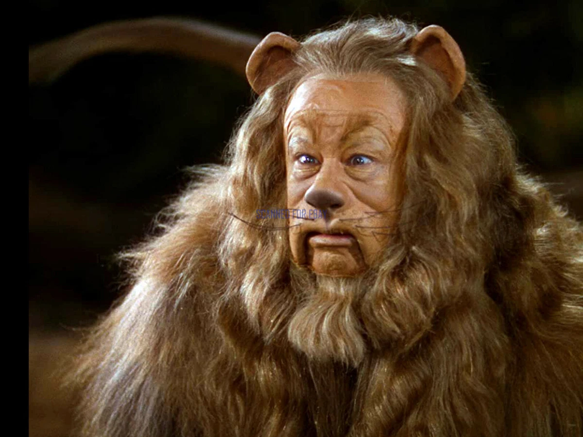 Lion Wizard Of Oz Full Body