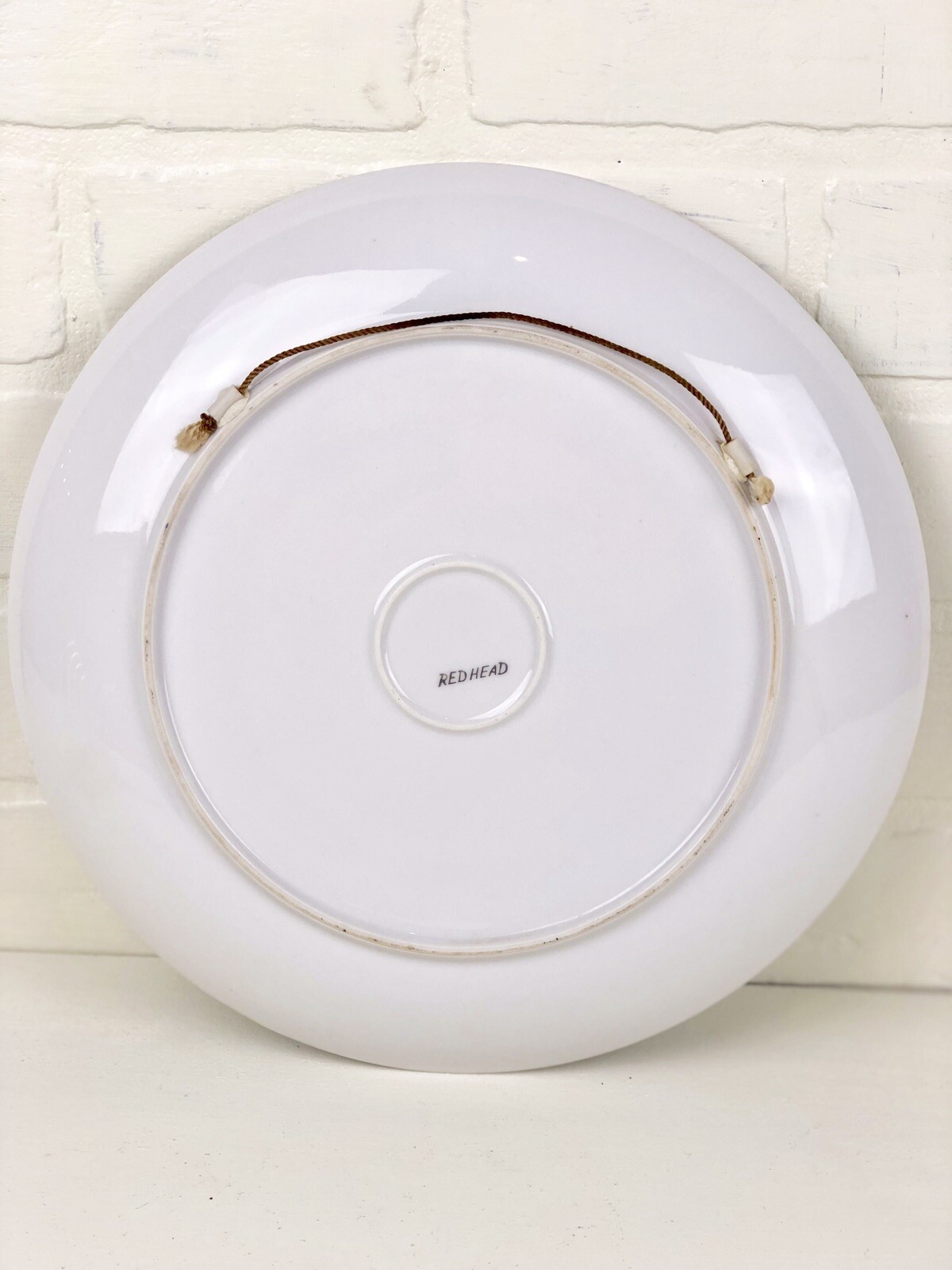 Redhead Ducks Loons Geese Mallards Decorative Plate Painted Plate | eBay