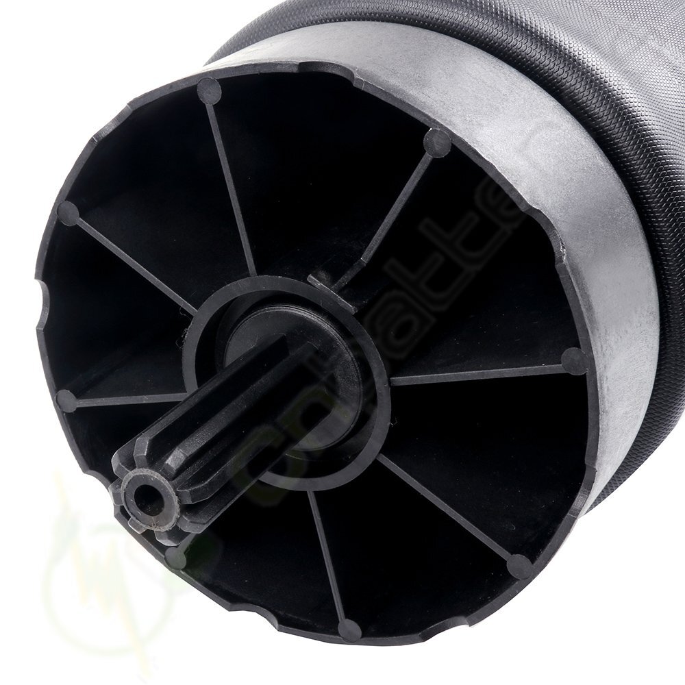 Rear Pair Air Suspension Springs For Land Rover Range Rover HSE L322 ...