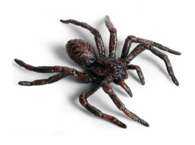 13.5cm Spider PVC Toy Insects Animal Figure Kids Gift | eBay