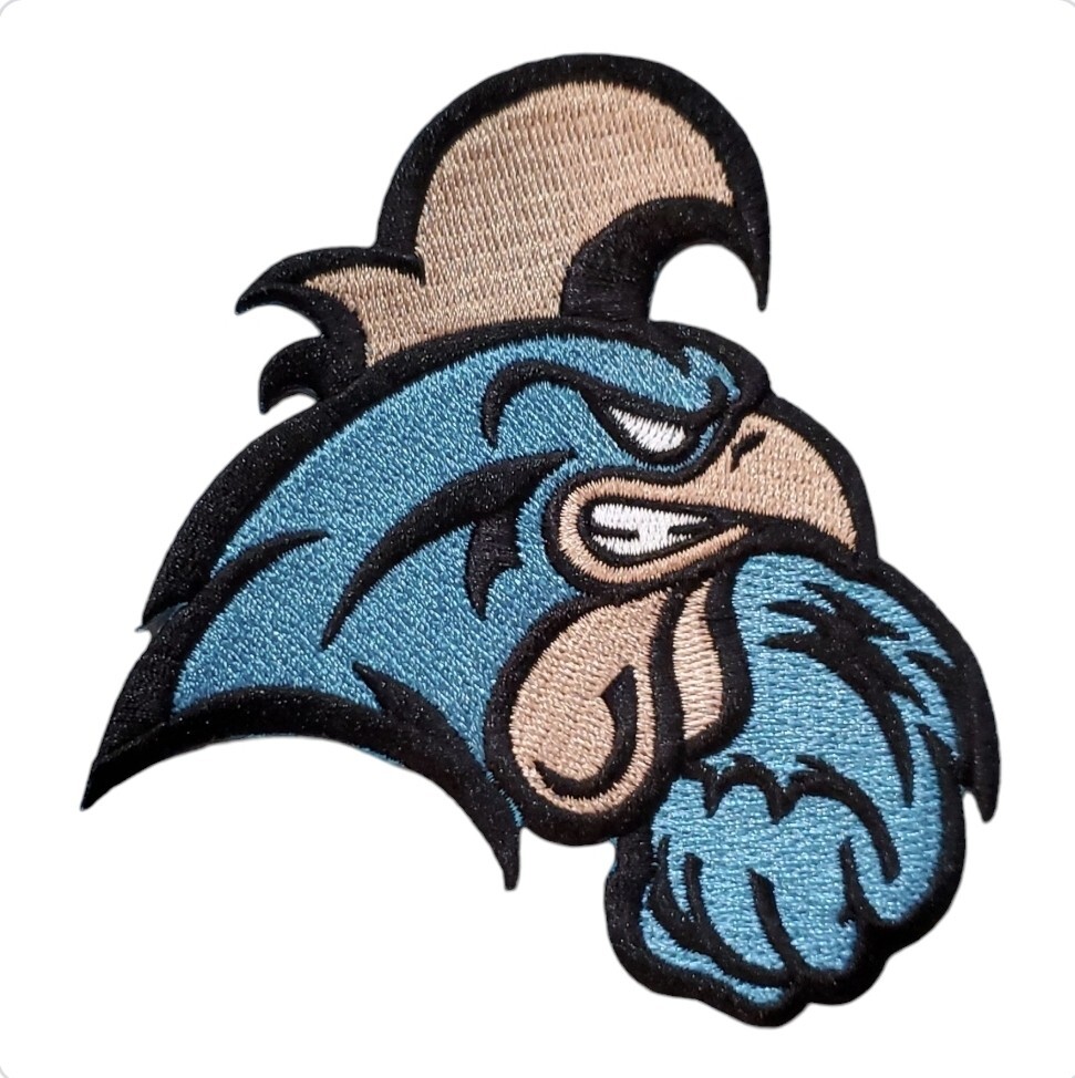 What Are Coastal Carolina Colors - Infoupdate.org