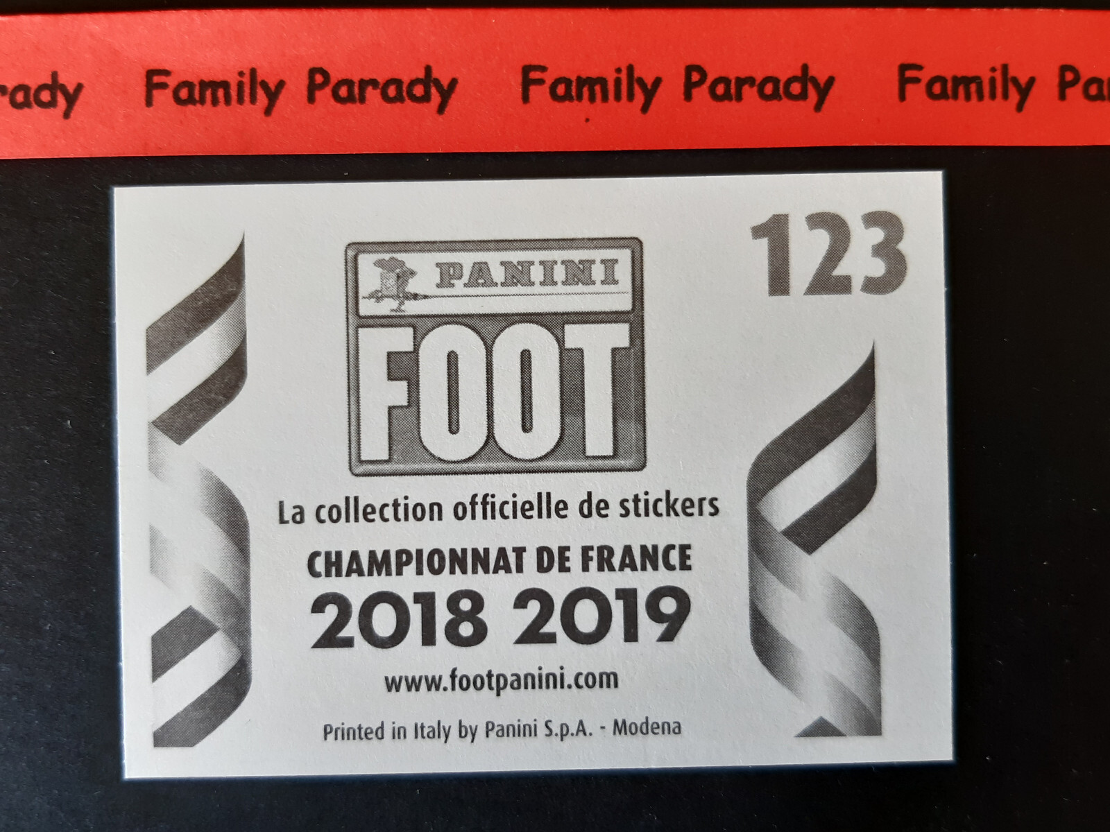 Supporter 123 Dijon DFCO Image Sticker Panini Foot France Ligue 1 2018 ...
