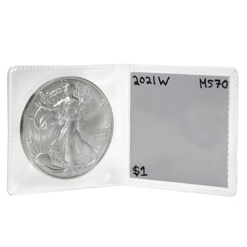 Coin Shield 100 2x2 Double Pocket Vinyl Coin Holder Clear Plastic Flip ...
