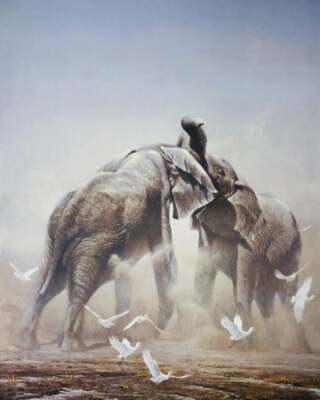 Robert Bateman - Sparring Elephants - S/N Lithograph - Signed - MINT | eBay