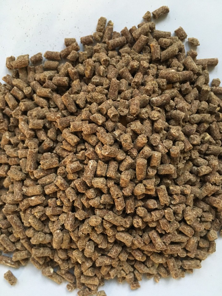 Chicken Feed Mini Pellets For Laying Hens Rooster | eBay