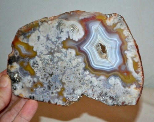 Plume Agate Slab from Patagonia Argentina * very RARE * Collector piece ...