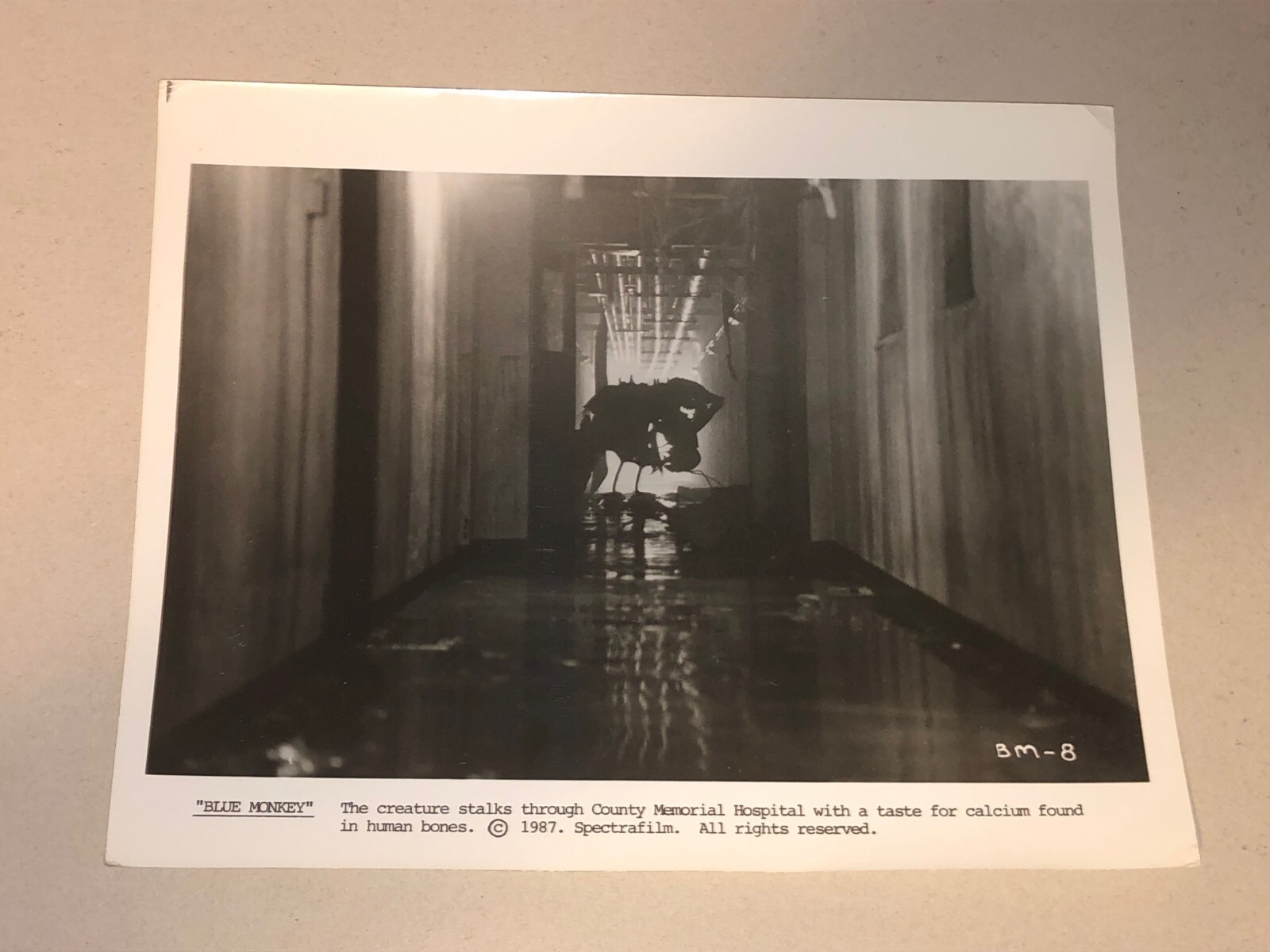 Blue Monkey Movie Still Photo 1987 Monster Creature Horror Film Steve ...