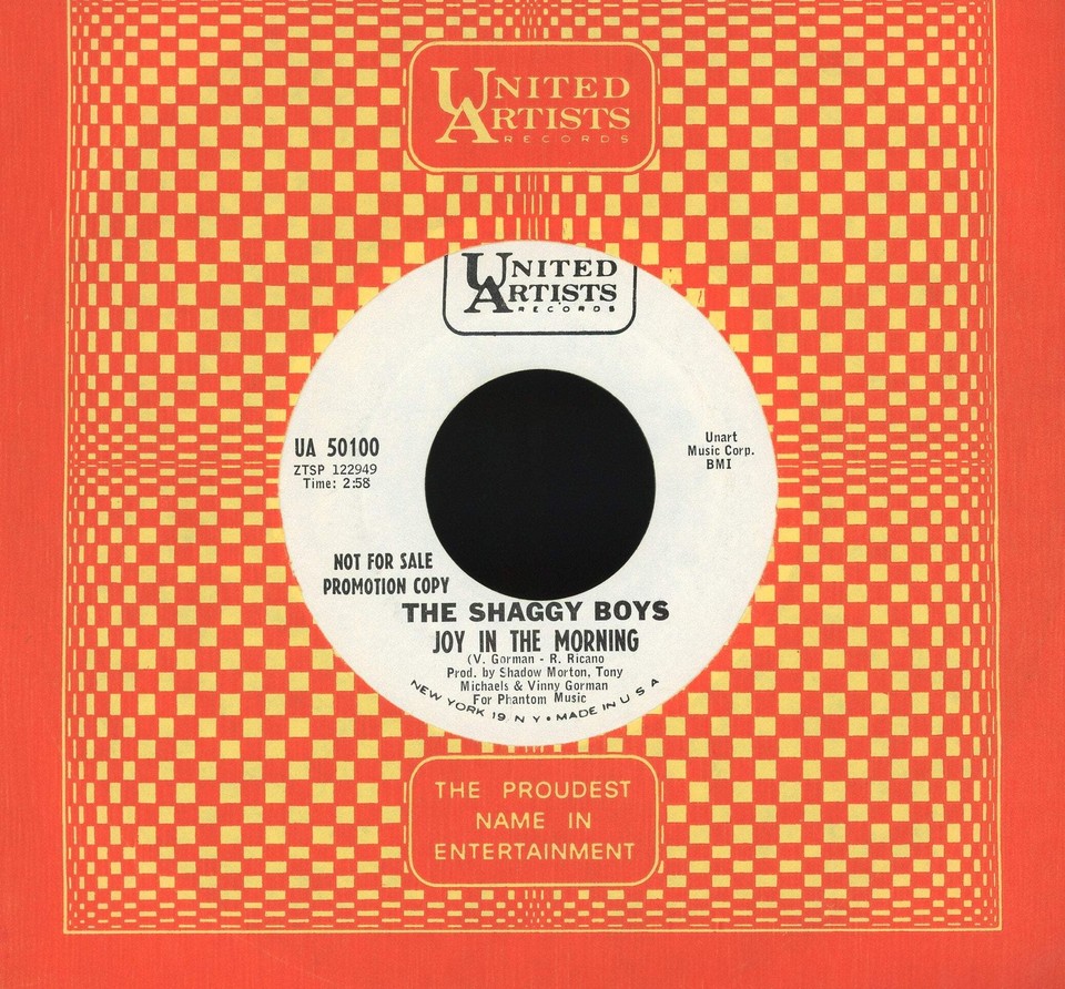 The Shaggy Boys - You And Me / Joy In The Morning on United Artists ...
