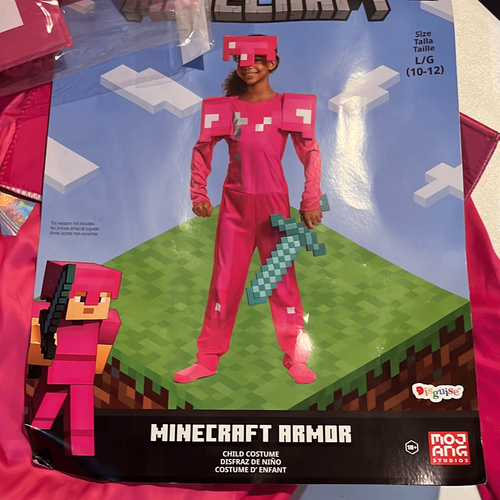 Minecraft Girl's Classic Pink Armor Costume Size 10-12 | eBay