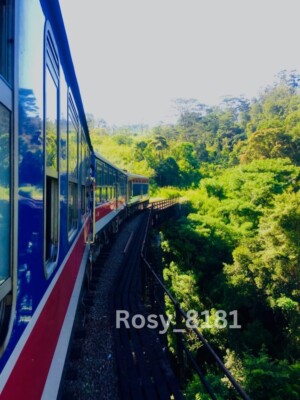 2024 New captured Sri Lanka Photo kandy-Elle Train Ride JPG ...