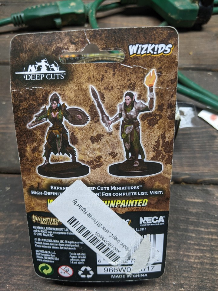 Deep Cuts Pathfinder Battles Elven Female Fighters Figure Set NEW | eBay