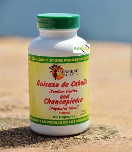 Guisazo de Caballo & Chanca Piedra 1000 mg Potente 90 Capsules Riñones ...