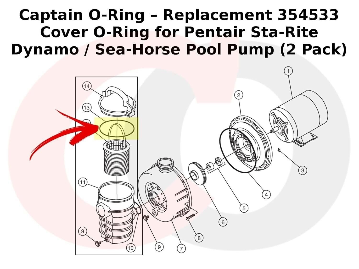 354533 Cover O-Ring for Pentair Sta-Rite Dynamo/Sea-Horse Pool Pump (2 ...