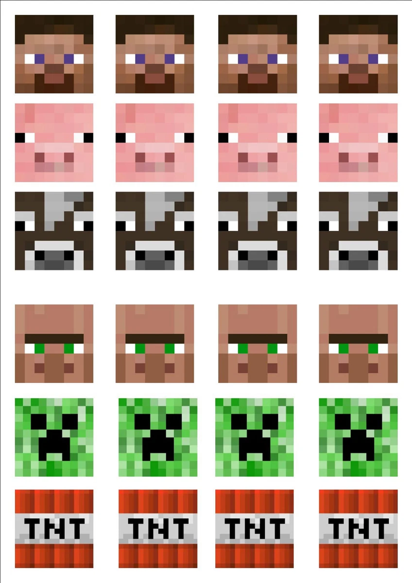 Minecraft Faces