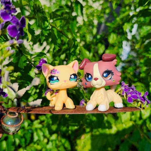 LPS Custom Nintendo Collie and Cat ooak eye repaint | eBay