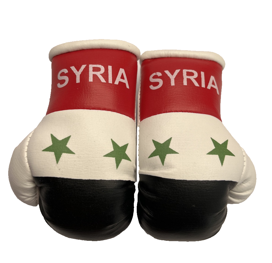SYRIA / SYRIAN Flag Mini Gloves Ornament / Souvenir / Decoration | eBay ...