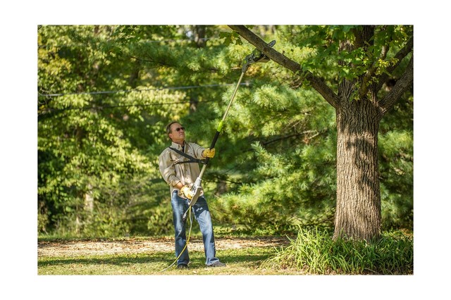 Earthwise Electric Pole Chainsaw Pruner 10 Inch Bar 6 Amp 2 in 1 ...