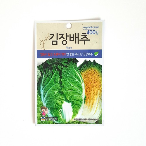 Korean Healthy Vegetable Lettuce, Sesame, Radish, Chives, Cirsium Seed ...