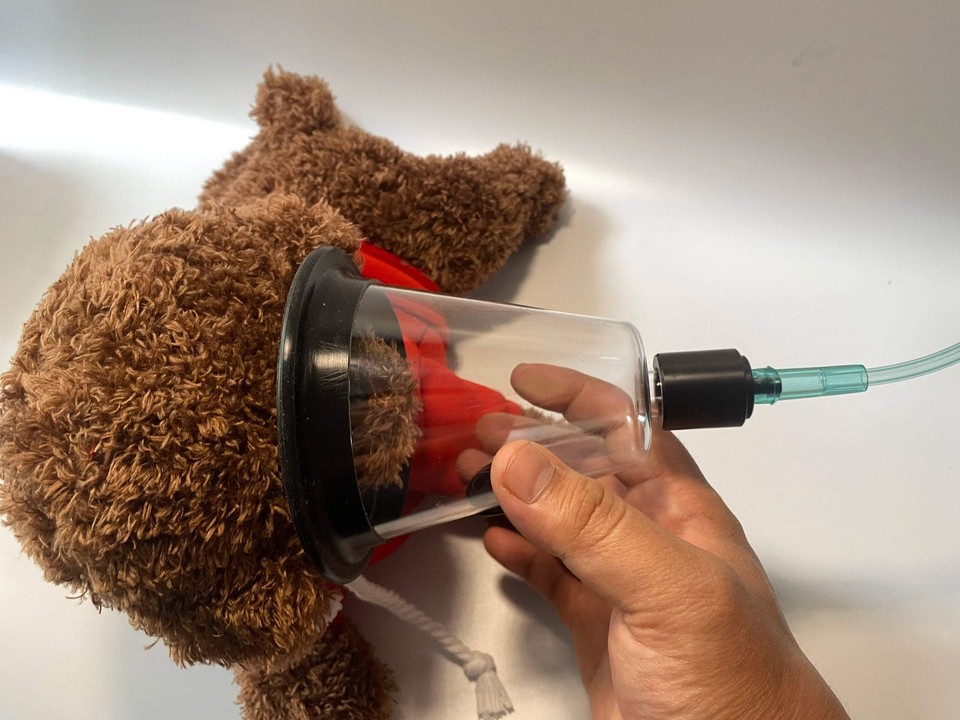 Pet Oxygen Mask cat dog oxygen inhalation | eBay