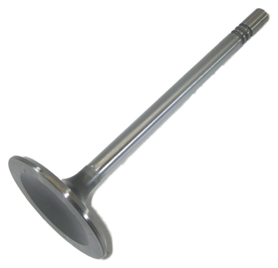 Borg Warner BWD I-2388 Engine Intake Valve for Ford 4.6L 5.4L 6.8L ...