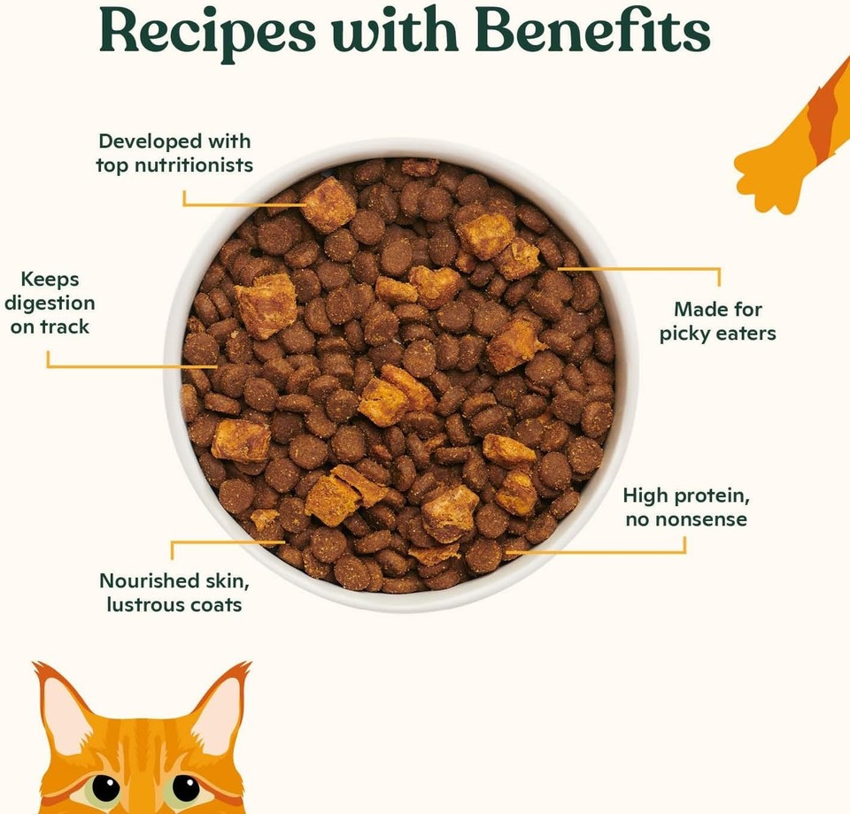 Made by Nacho Dry Cat Kibble 4lb Bag, High Protein 4 Pound (Pack of 1 ...