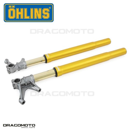 racing fork gold OHLINS FGR 250 43 | eBay Australia