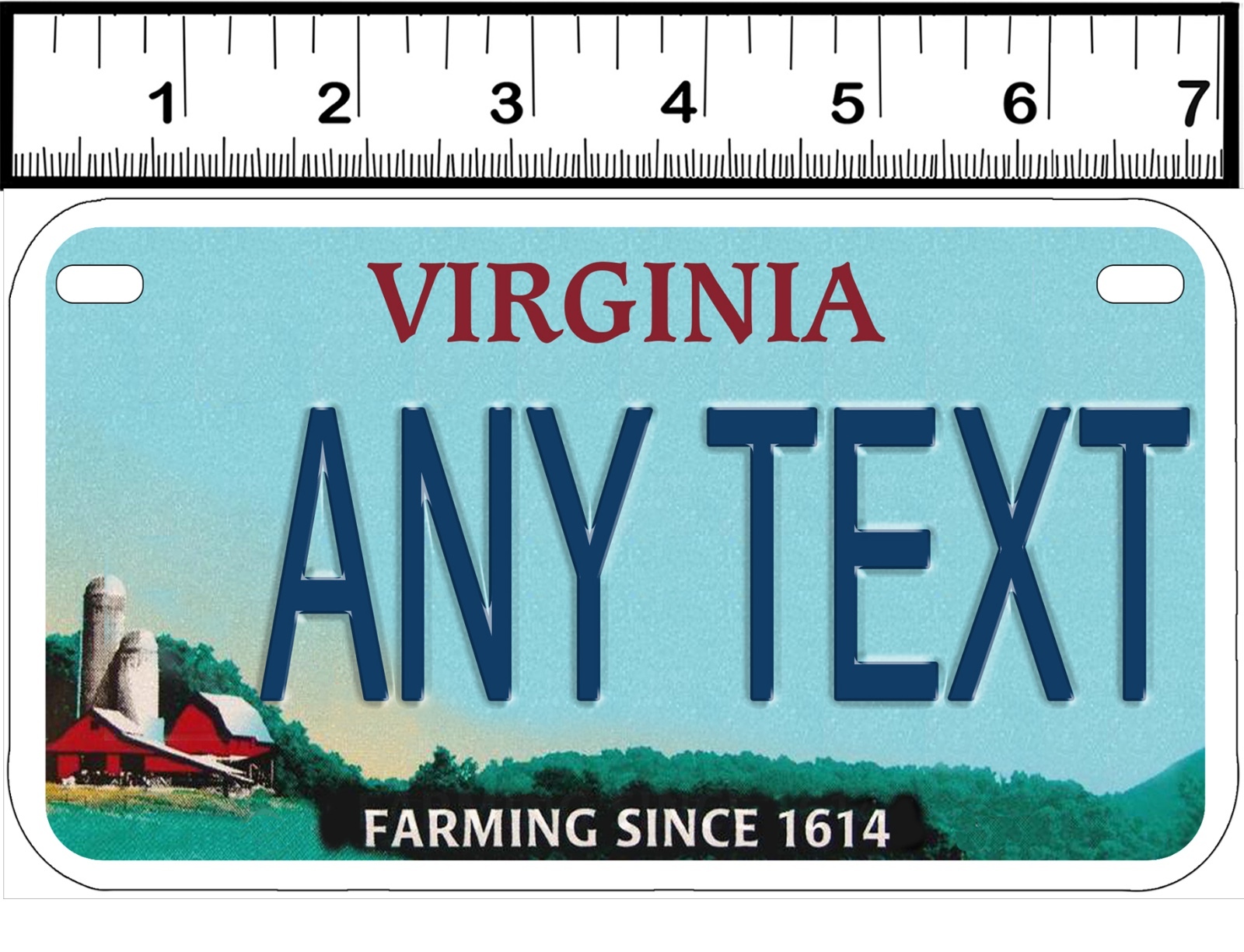 PERSONALIZED CUSTOM ALUMINUM MOTORCYCLE STATE LICENSE PLATE-VIRGINIA ...