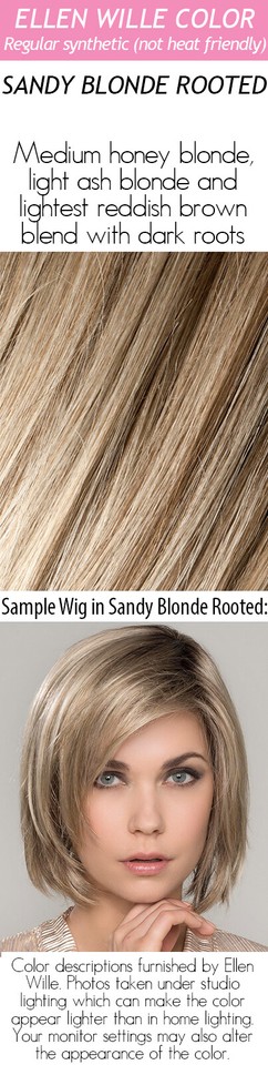 AMY DELUXE Wig by ELLEN WILLE, *ALL COLORS* Hand-Tied, Mono Top, Lace ...